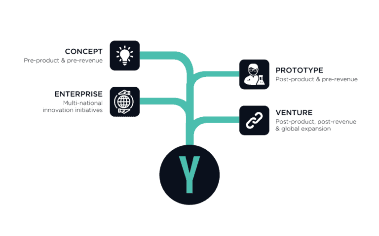 the BIG whY - Catallyze